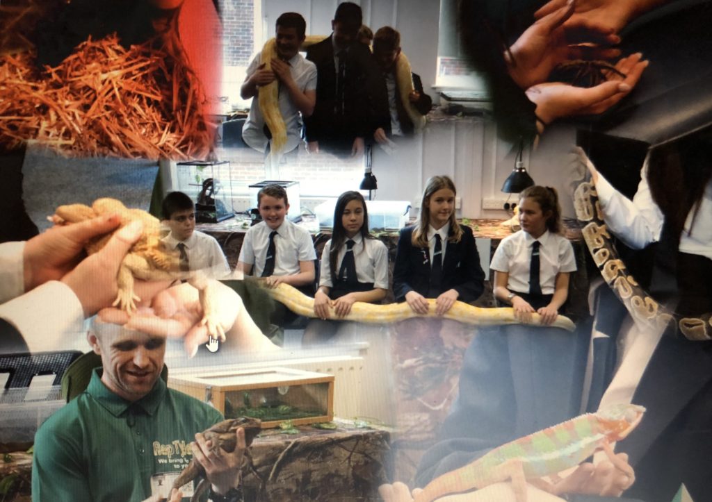 Education – RepTylers – We Bring The Zoo To You | Brighton Reptile Parties