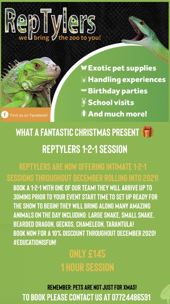 News & Events – RepTylers – We Bring The Zoo To You | Brighton Reptile ...