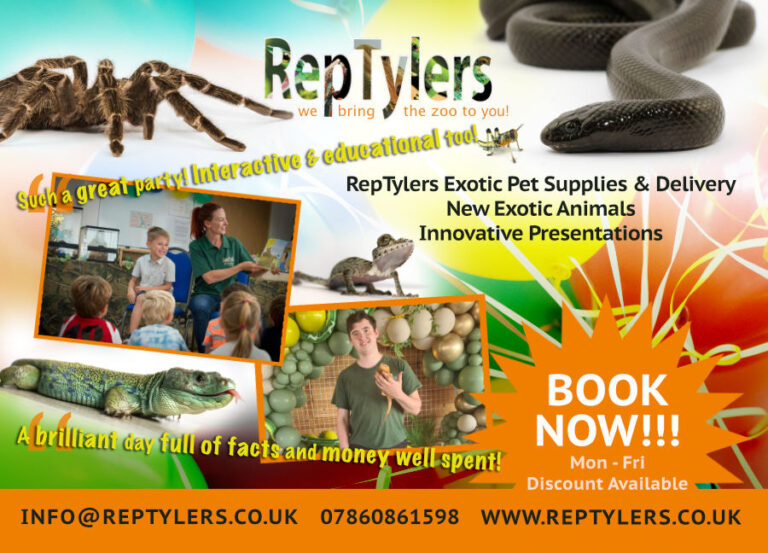 RepTylers – We Bring The Zoo To You | Brighton Reptile Parties – Family ...