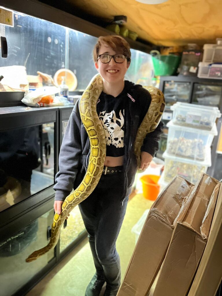 Packages – RepTylers – We Bring The Zoo To You | Brighton Reptile Parties